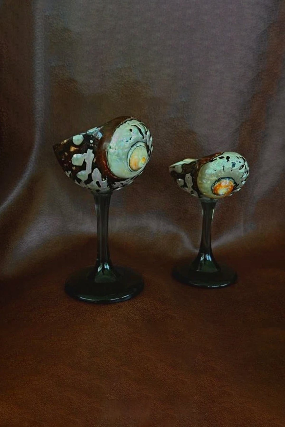 African Turbo Shell Glass | designers collab.