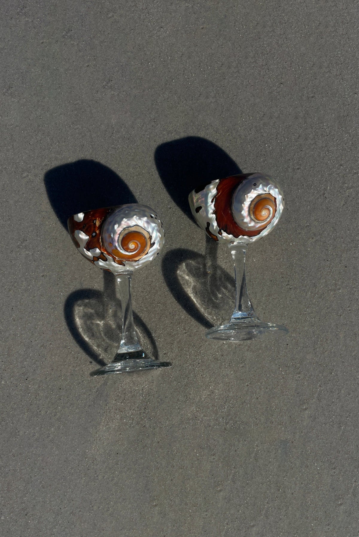 African Turbo Shell Glass | designers collab.